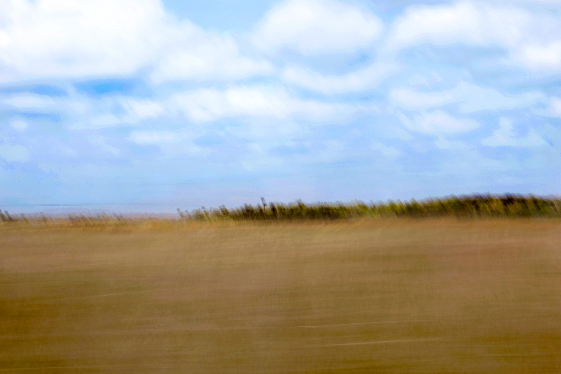 Passing Trees - Chris Becker