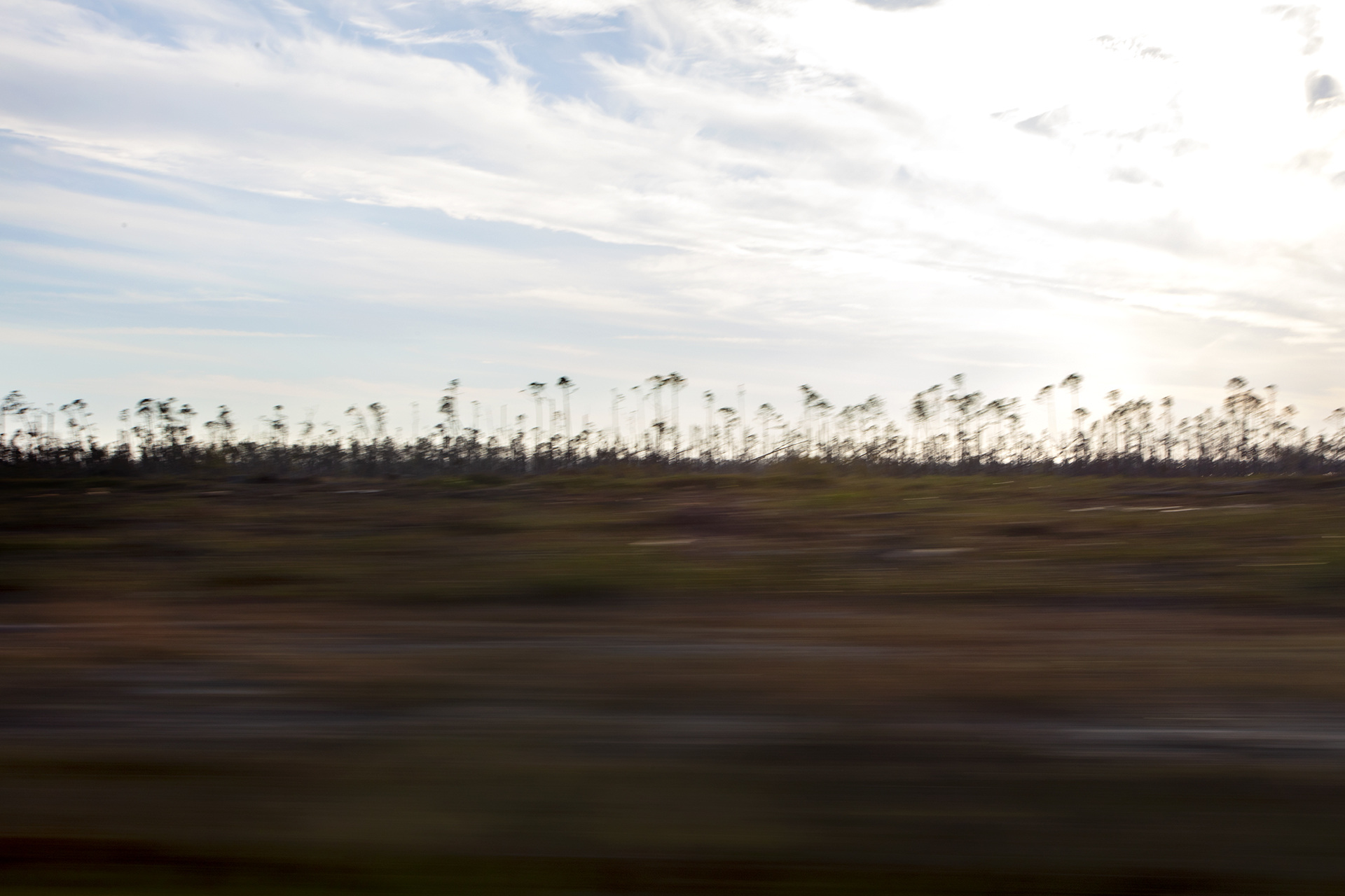 Passing Trees - Chris Becker