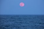 Moonrise Over Atlantic - Chris Becker