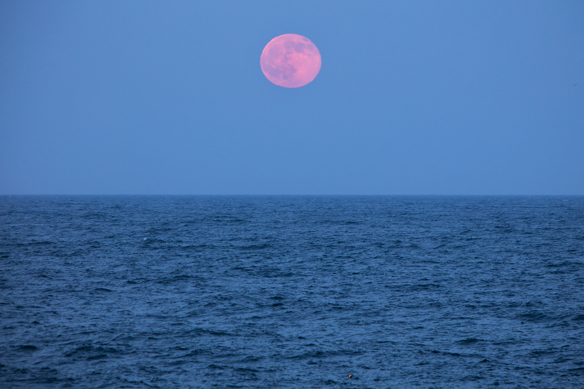 Moonrise Over Atlantic - Chris Becker