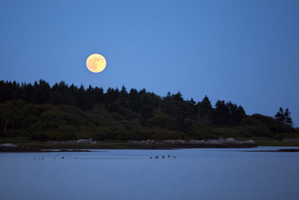 Moonrise Over Atlantic - Chris Becker